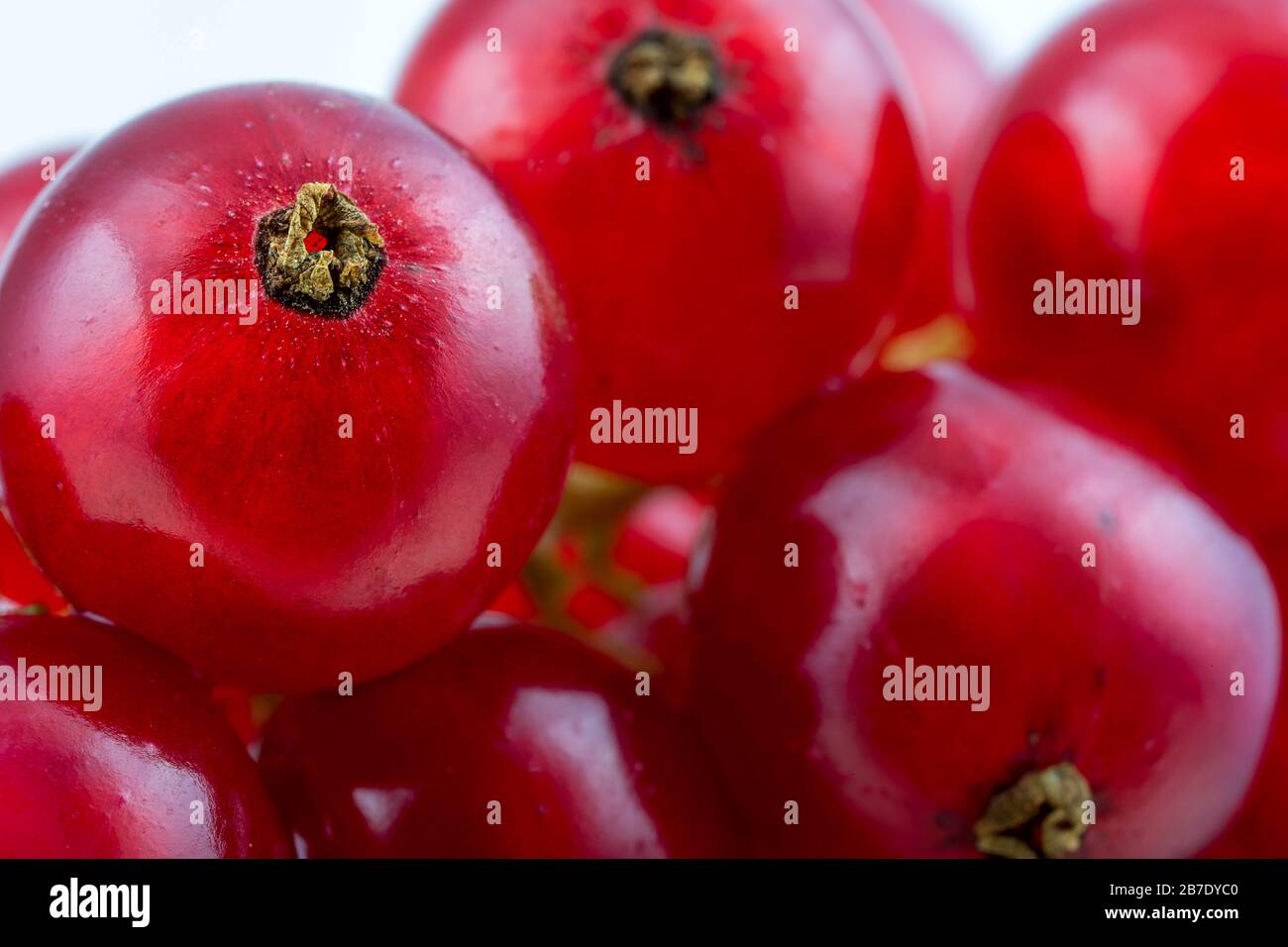 currants photographed up close Stock Photo - Alamy