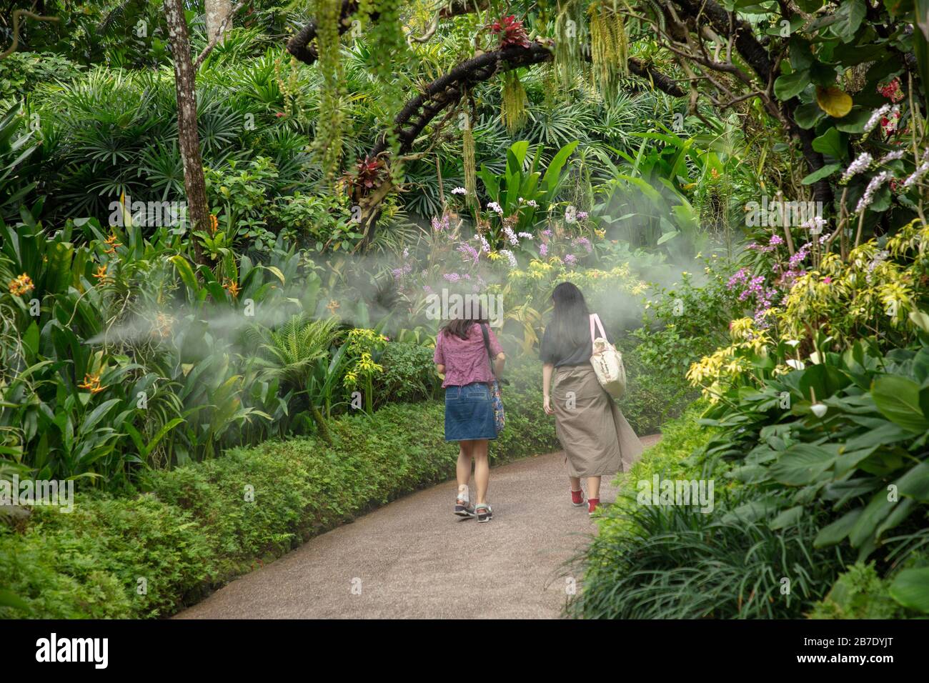 Singapore botanical gardens mist garden hi-res stock photography and ...