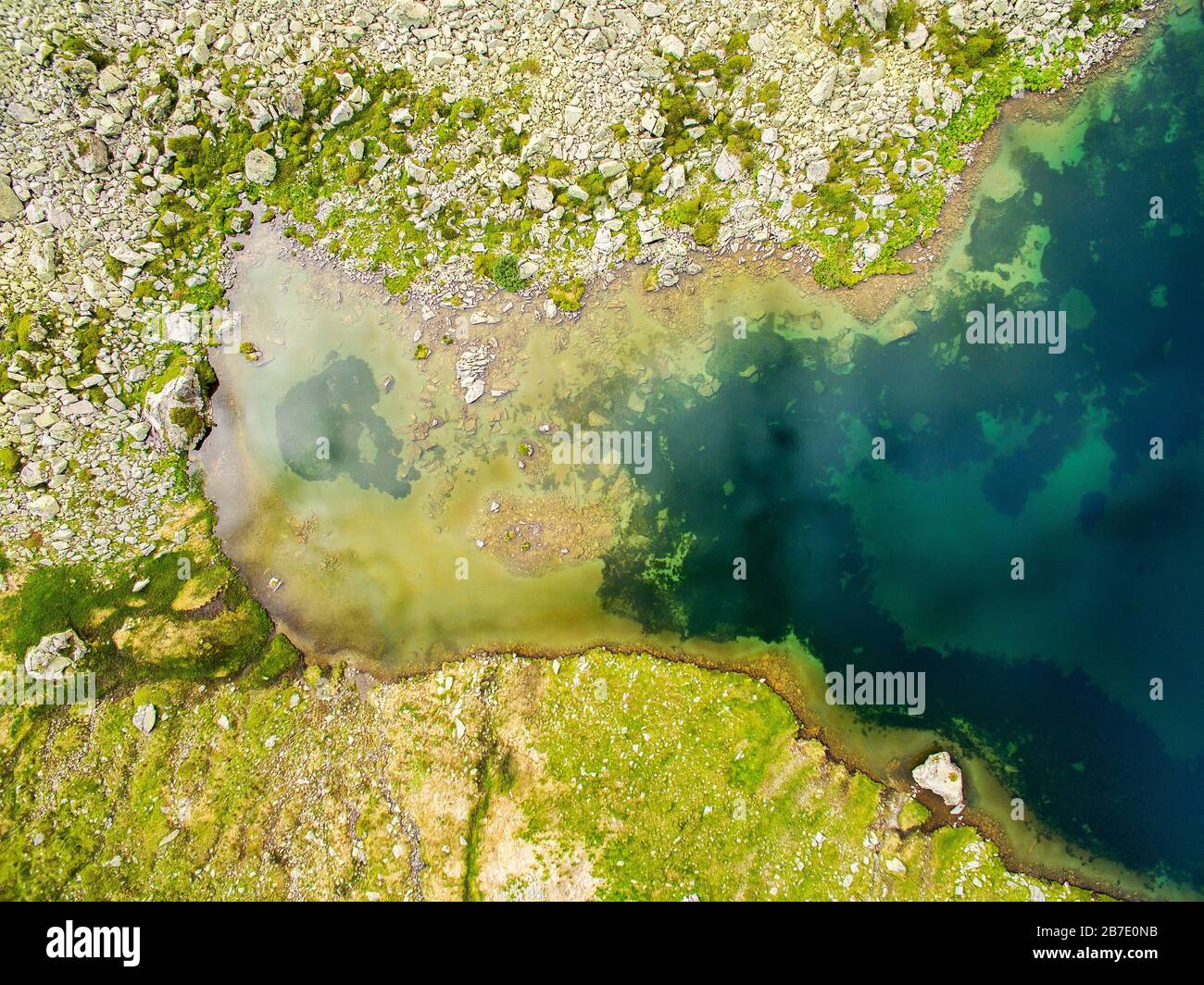 Swampy pond hi-res stock photography and images - Alamy