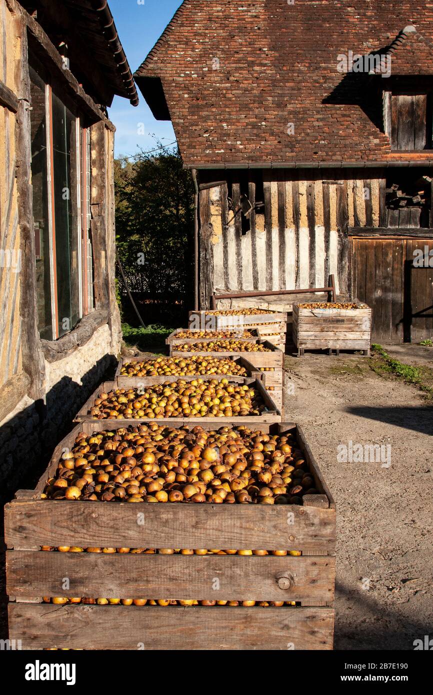 Normandy cider route hi-res stock photography and images - Alamy