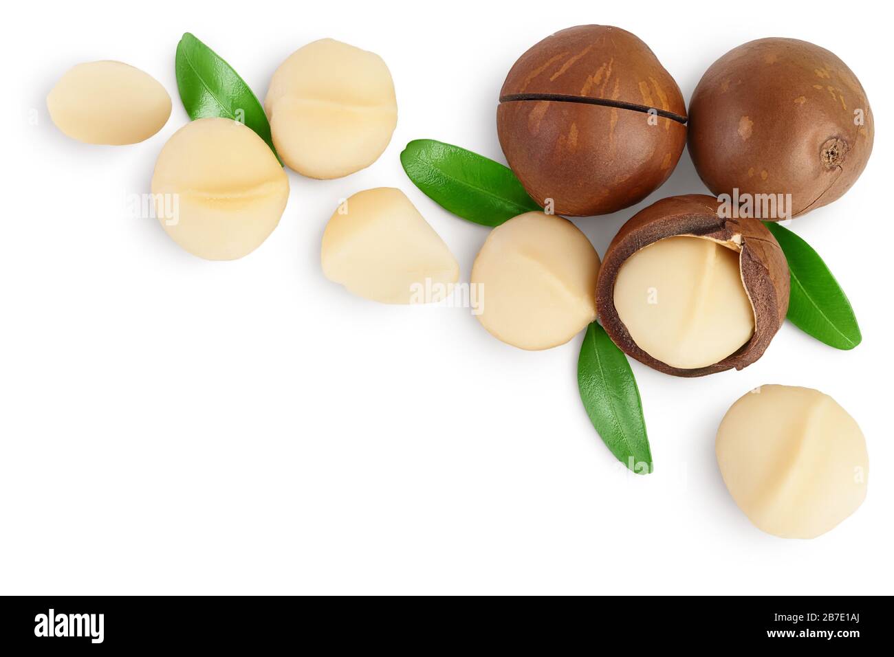 macadamia nuts isolated on white background with clipping path and full ...