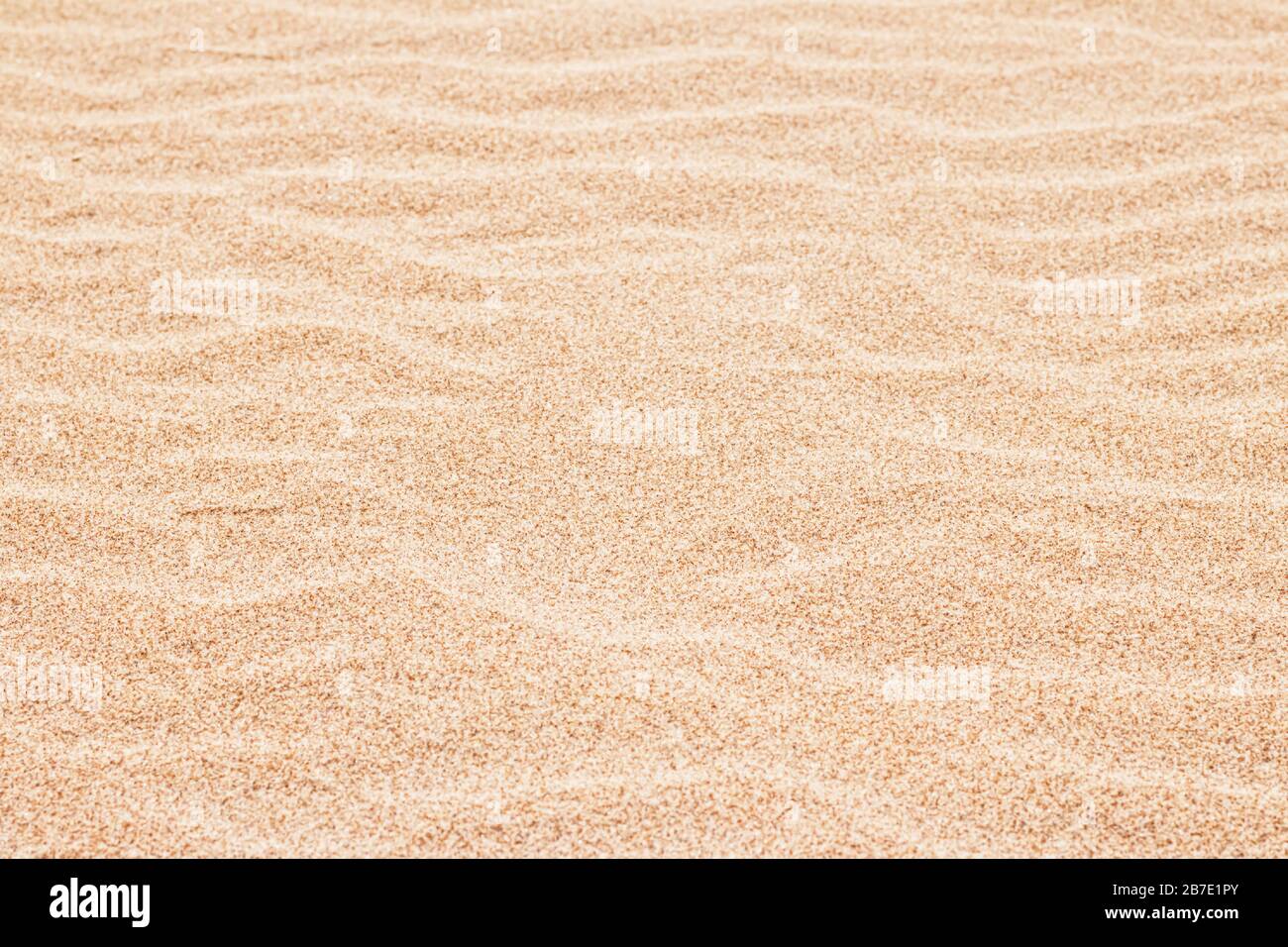 Sand on the beach in summer, texture close-up as background Stock Photo ...