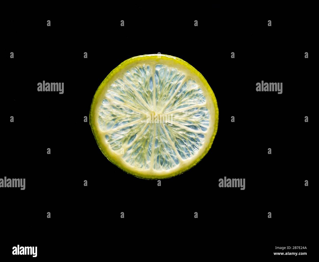 Backlit portrait of a lime slice Stock Photo - Alamy