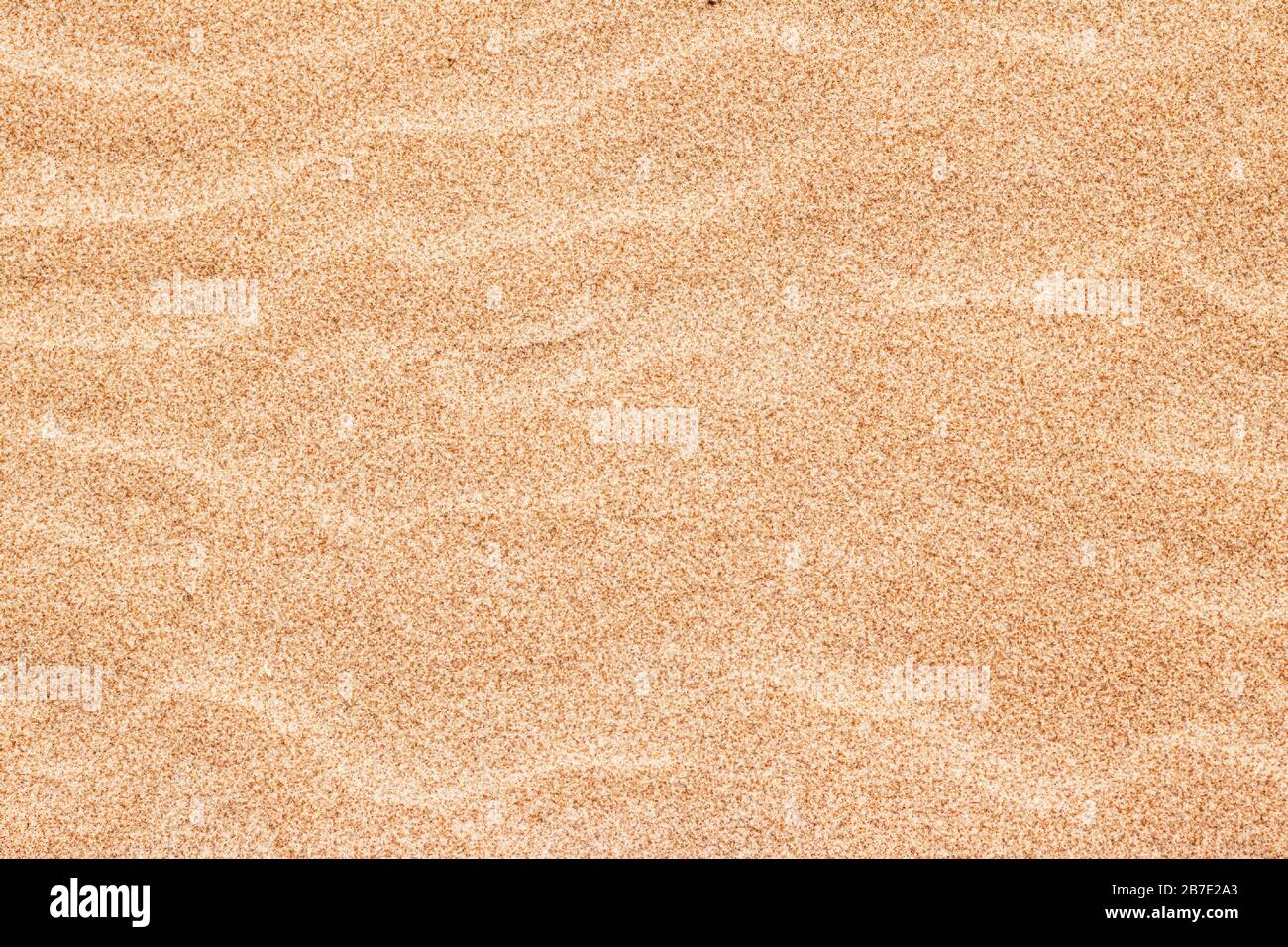 Sand on the beach in summer, texture close-up as background Stock Photo ...