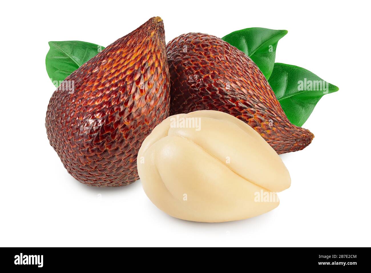 Salak snake fruit isolated on white background with clipping path and ...