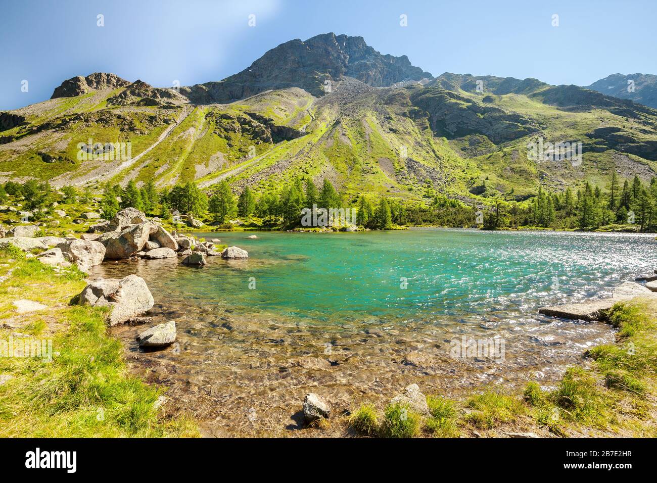 Verva hi-res stock photography and images - Alamy