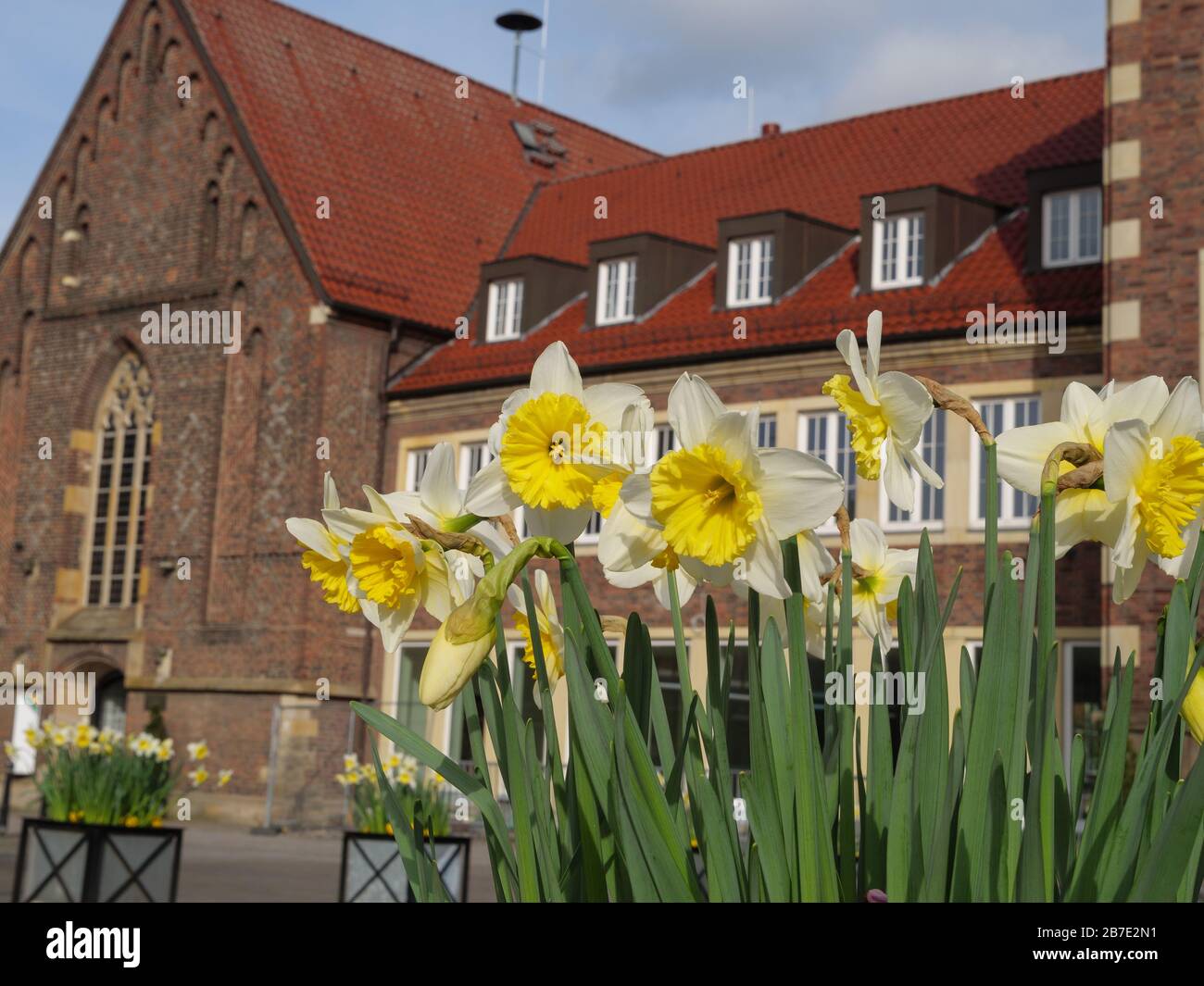 town hall and church Stock Photo - Alamy