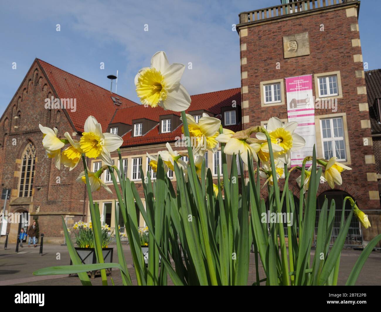 town hall and church Stock Photo - Alamy