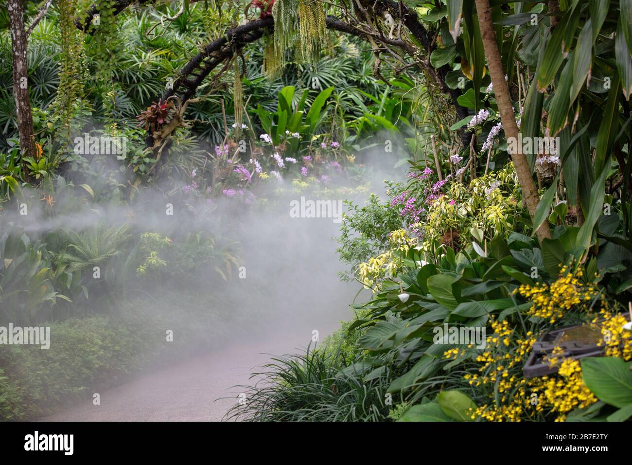 Artificial mist seen in the Singapore orchid garden Stock Photo - Alamy