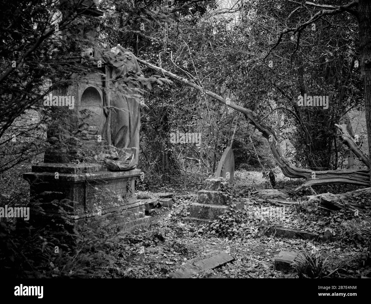 Barnes old cemetery hi-res stock photography and images - Alamy