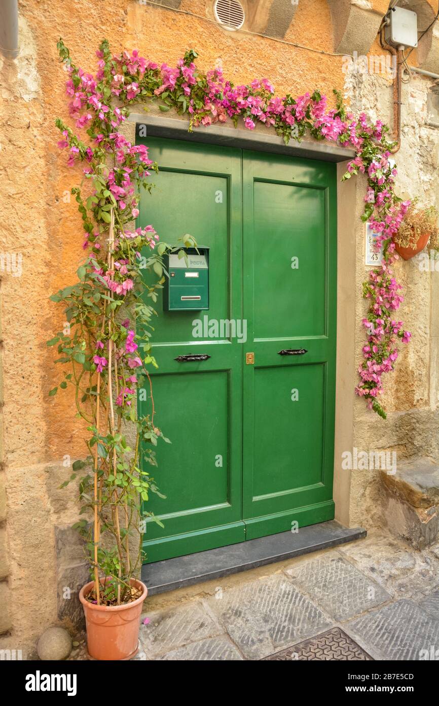 The Flower Door