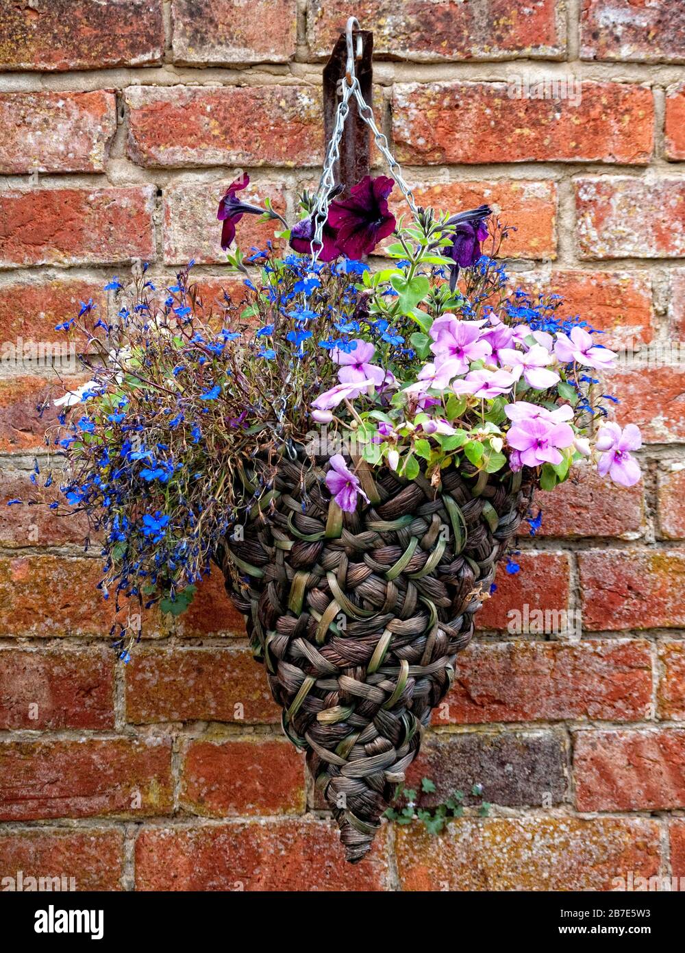 Hanging Basket against brick wall Stock Photo - Alamy