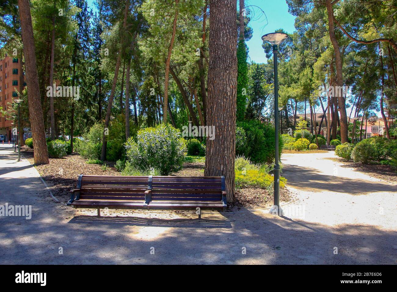 Path inside a park full of trees Stock Photo - Alamy