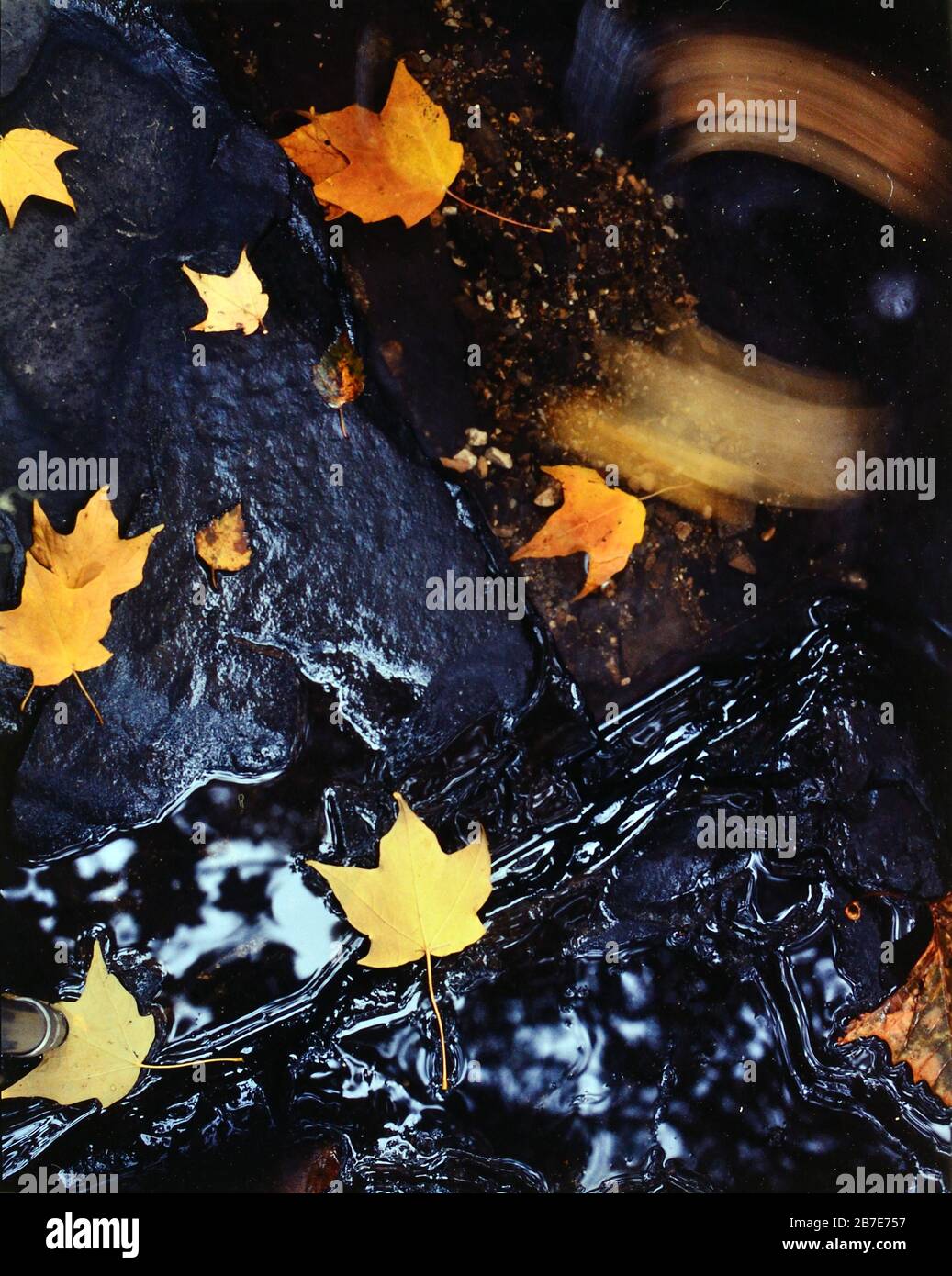 Fall leaves, stream bed, Central Ohio, USA Stock Photo - Alamy Fall leaves, stream bed, Central Ohio, USA Stock Photo - Alamy