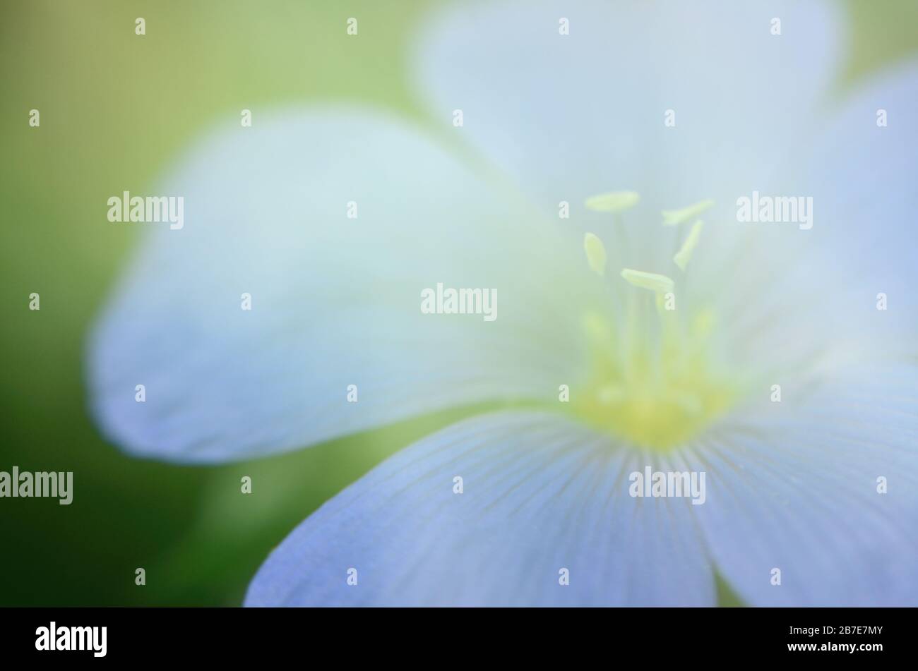 Increasing curves hi-res stock photography and images - Alamy