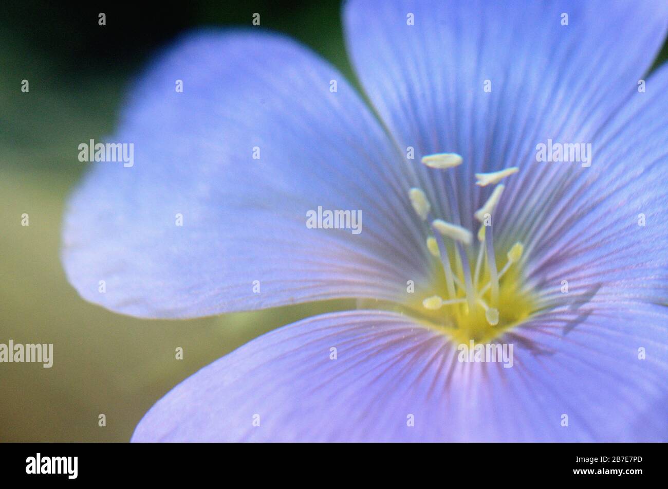 Increasing curves hi-res stock photography and images - Alamy