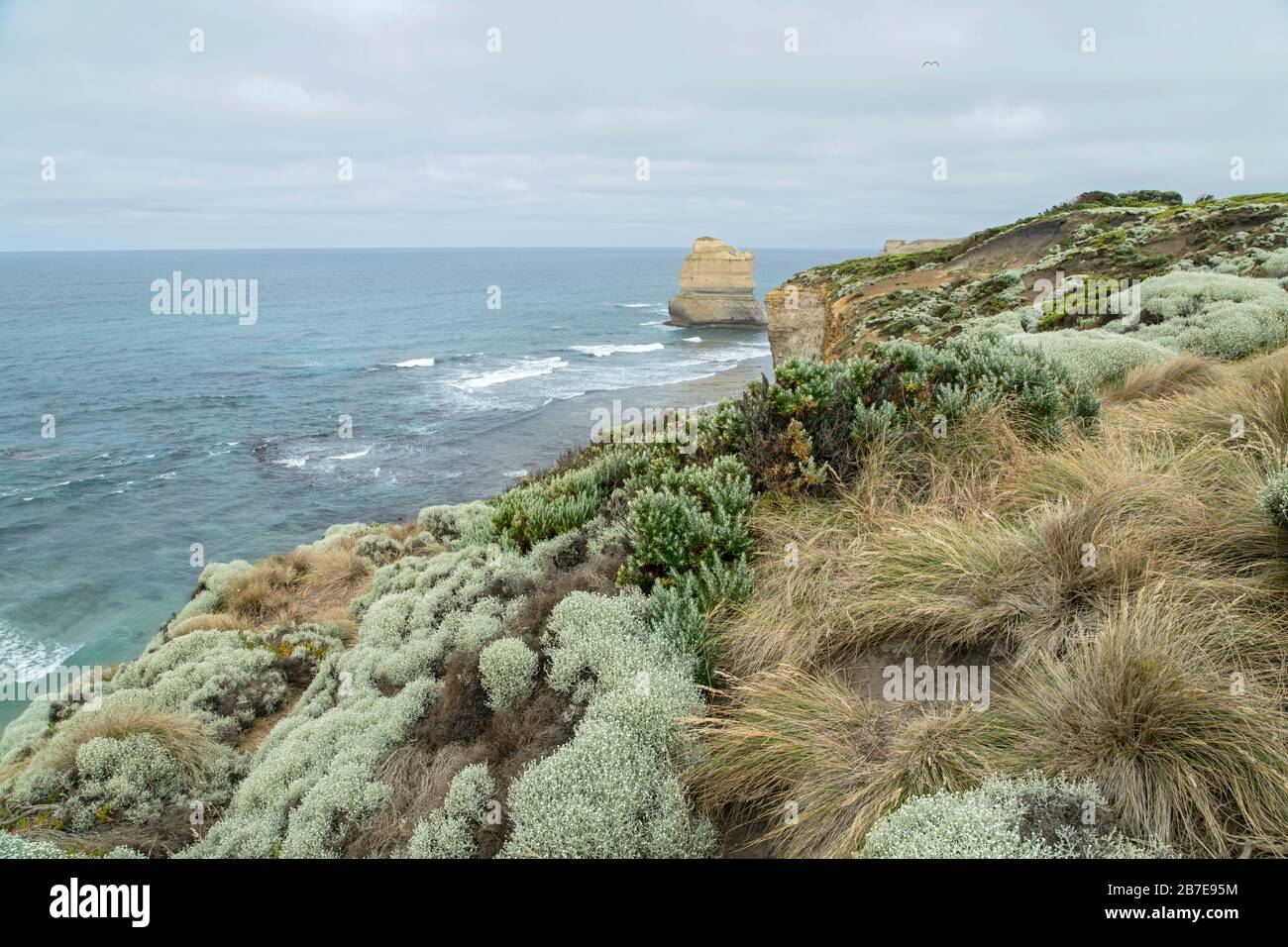 Apostles erosion sandstone limestone hi-res stock photography and ...