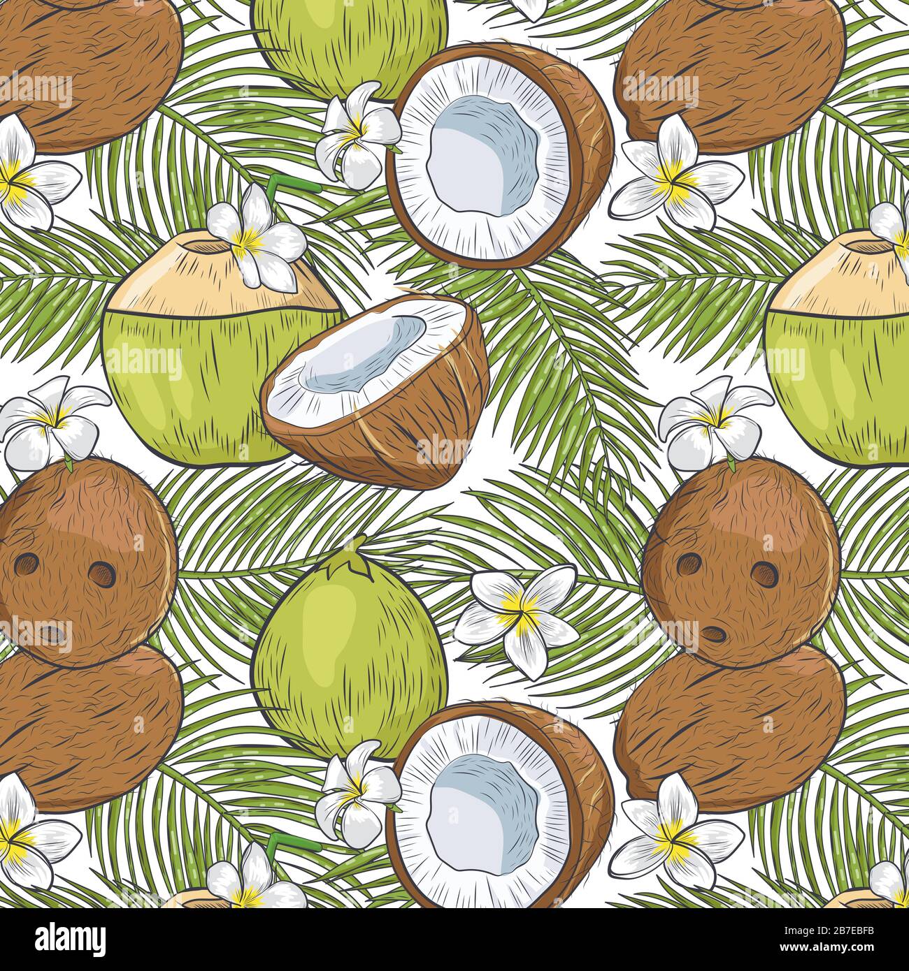 Coconut seamless pattern. Tropical organic coconut seamless background ...
