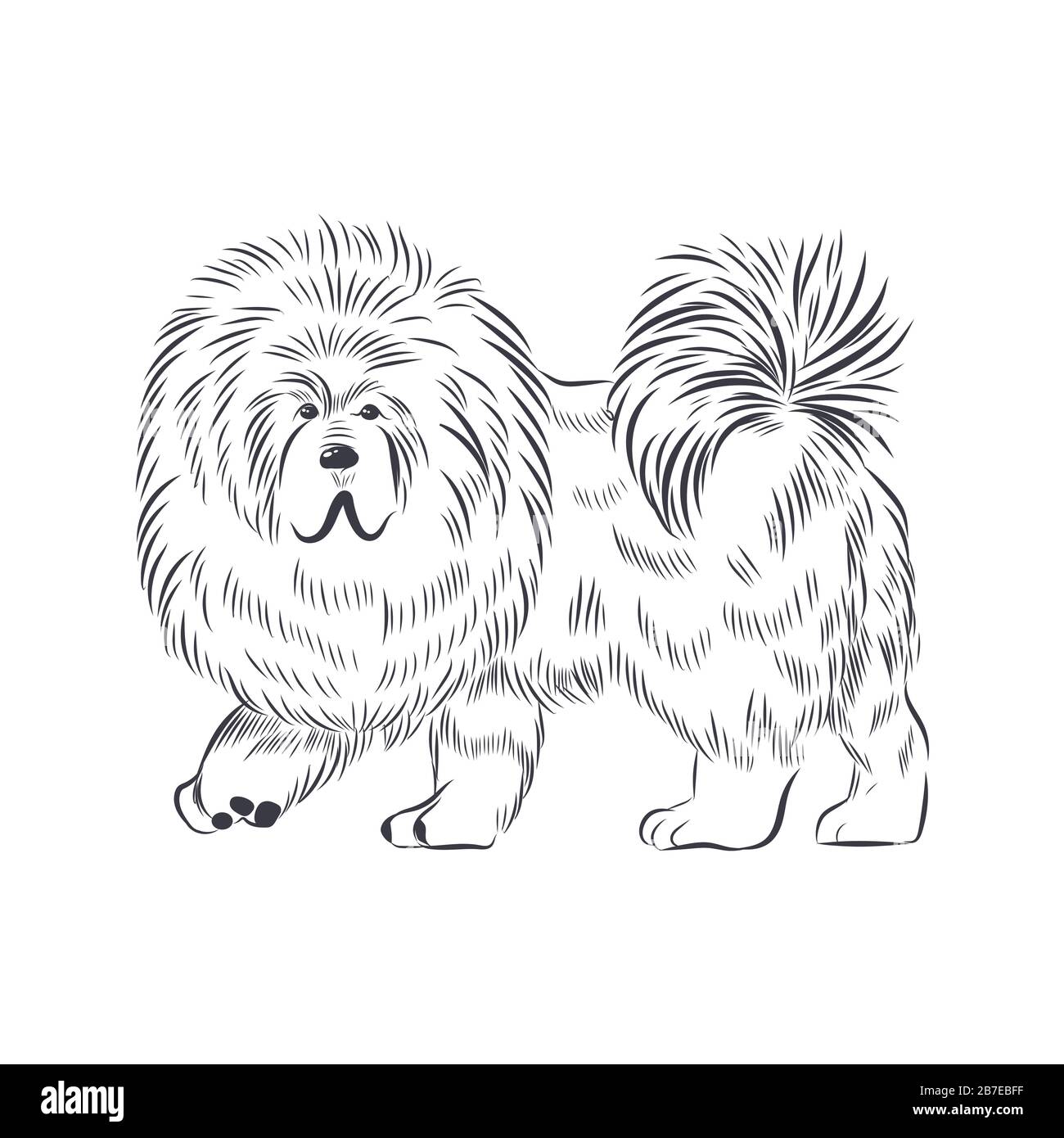 Hand drawn dog sketch Stock Vector Image & Art - Alamy