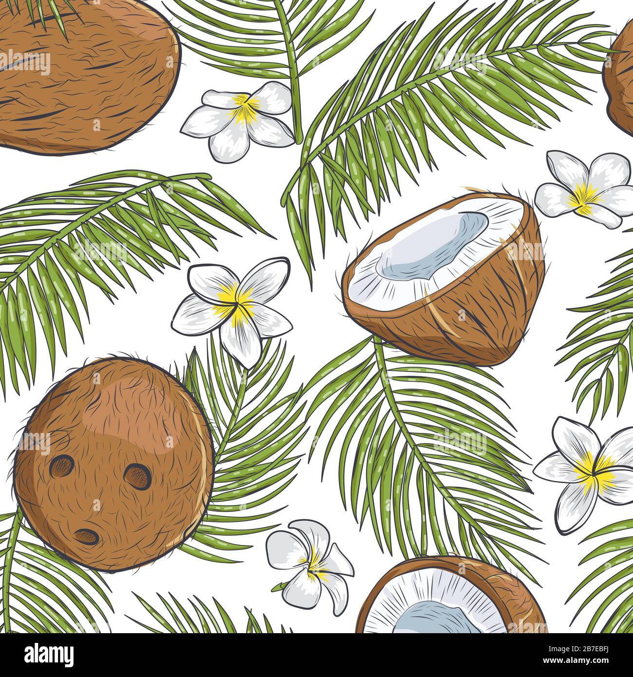 Coconut seamless pattern. Tropical organic coconut seamless background ...