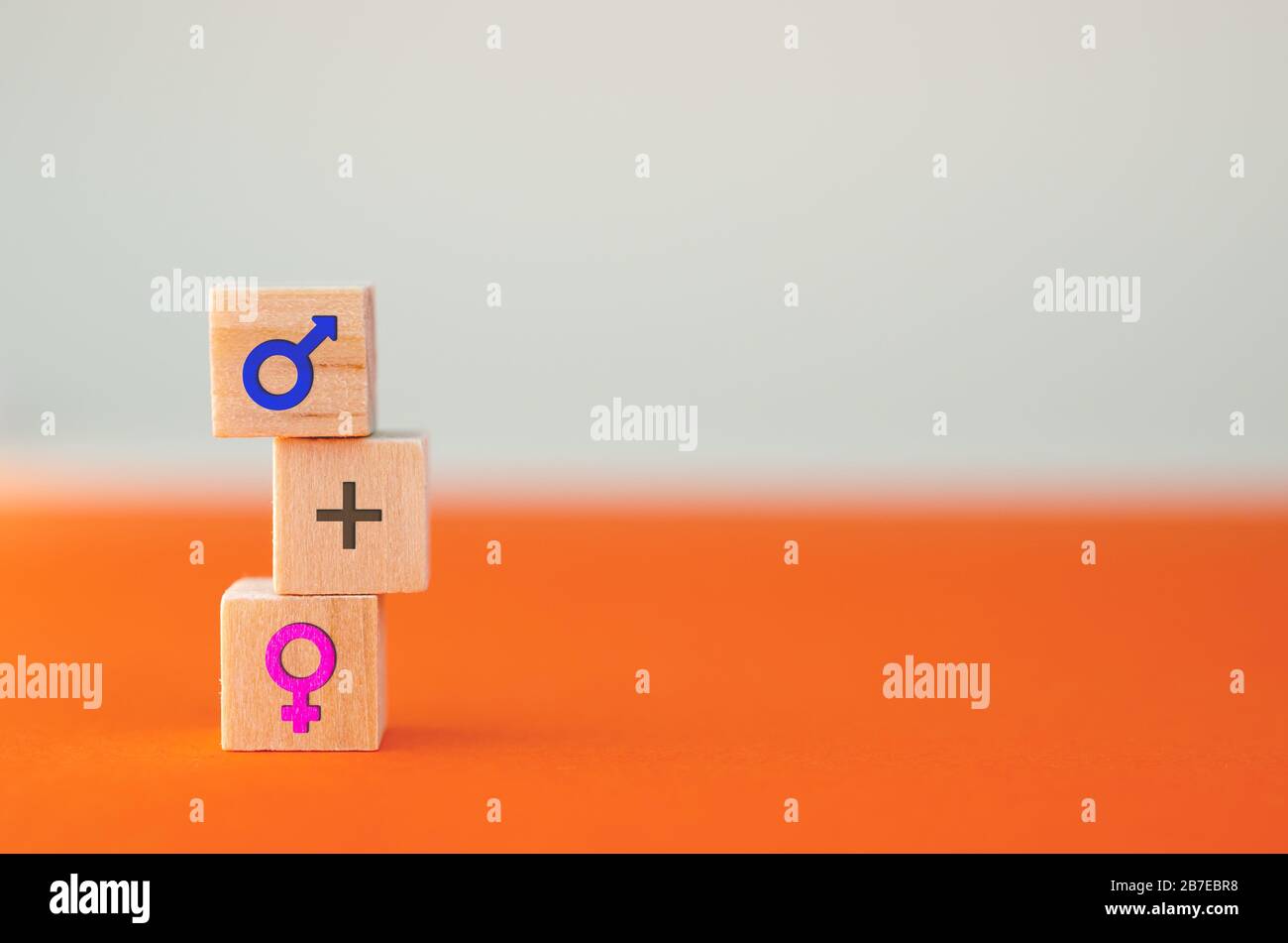 Concepts of gender equality. Wooden cubes with gender symbols sign ...