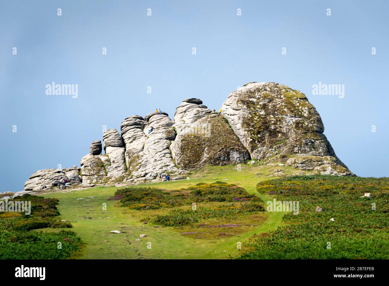 Haytor Rocks, Dartmoor National Park, Devon, England Stock Photo - Alamy