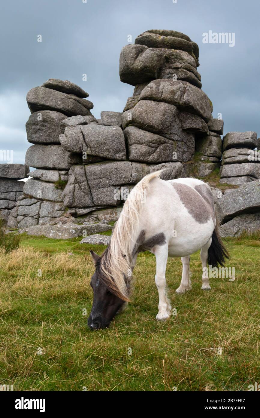 Great Staple Tor, Dartmoor National Park, Devon, England Stock Photo ...