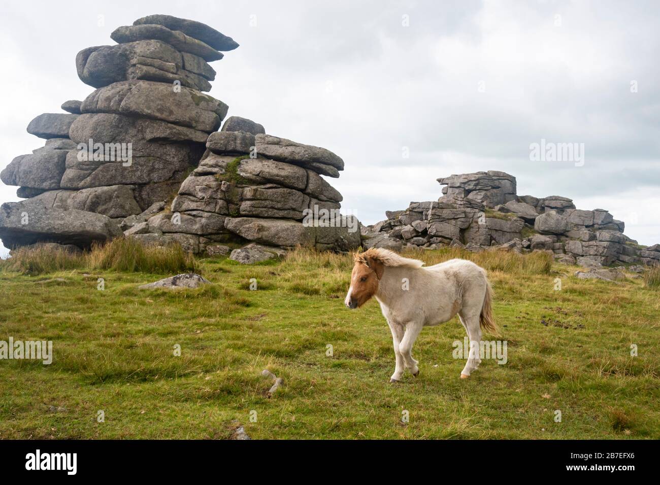 Great Staple Tor, Dartmoor National Park, Devon, England Stock Photo ...