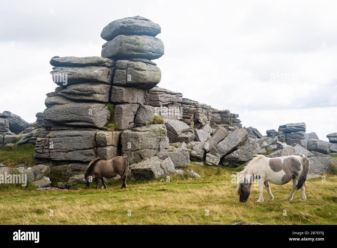 Great Staple Tor, Dartmoor National Park, Devon, England Stock Photo ...