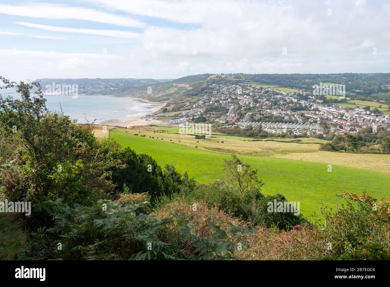 Charmouth Beach from coastal path along hillside, Charmouth, Dorset ...