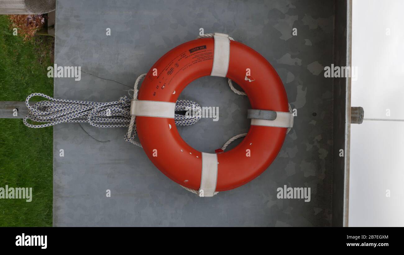 Vertical shot orange swimming hi-res stock photography and images - Alamy