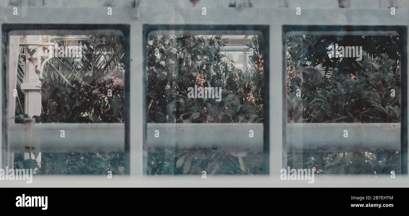 Beautiful scenery of a window with the view of green-leafed trees in ...