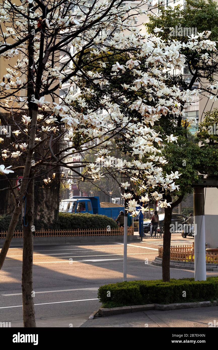 Guangchang hi-res stock photography and images - Alamy