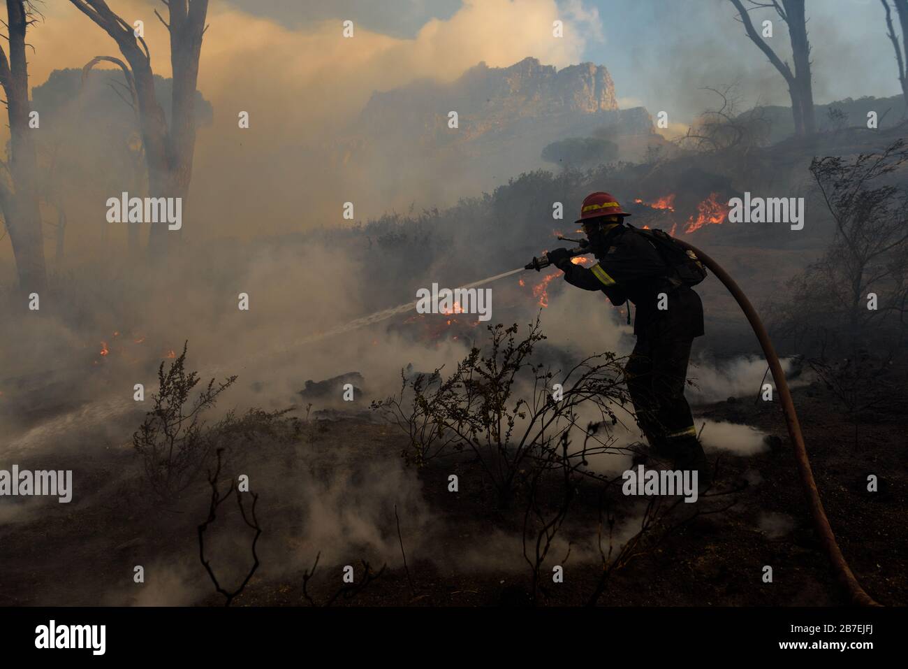 Firefighters combat a wild fire on the slopes of Cape Town's Table ...