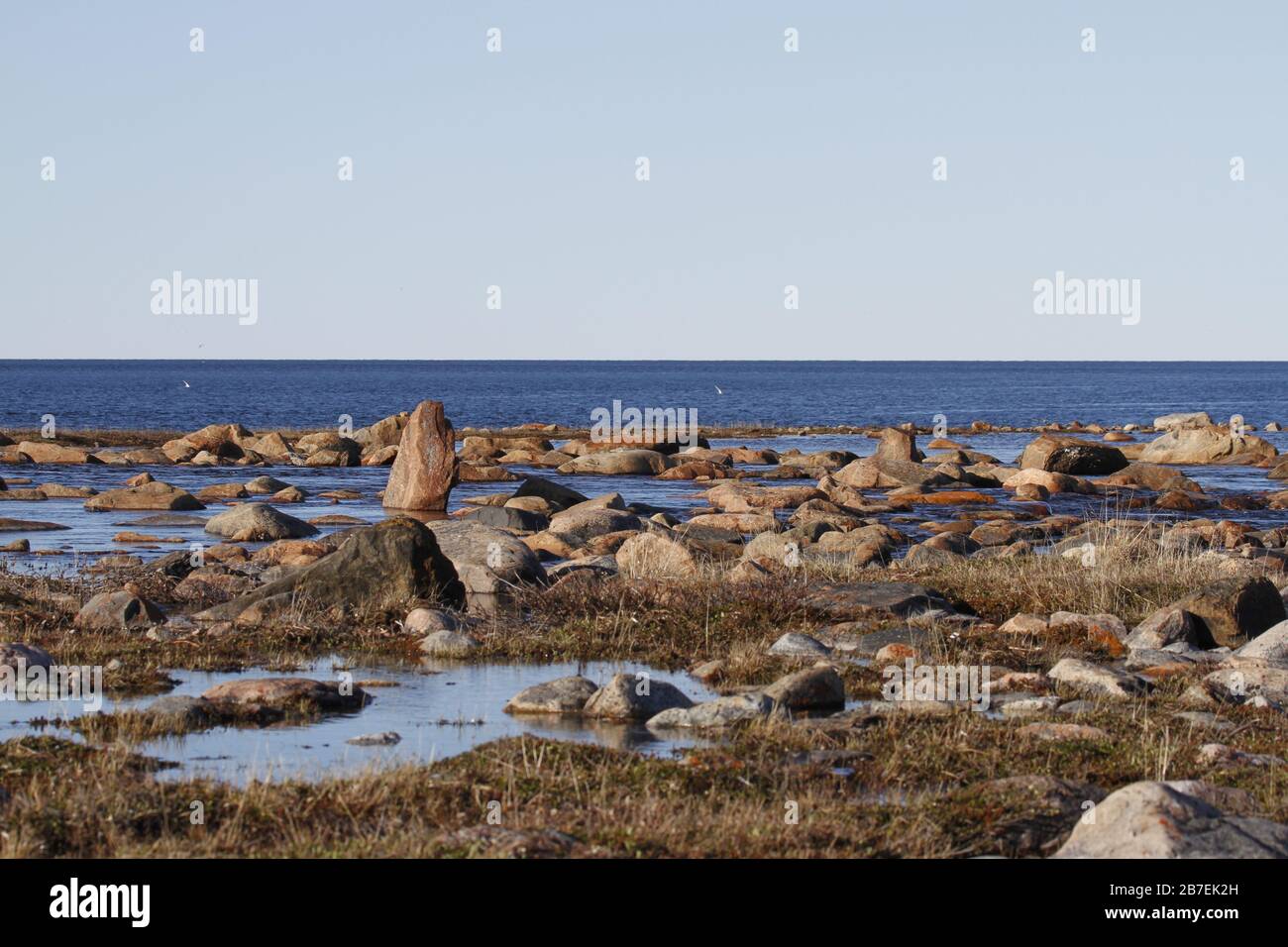 Single standing rock surrounded by water on a flat landscape, near ...