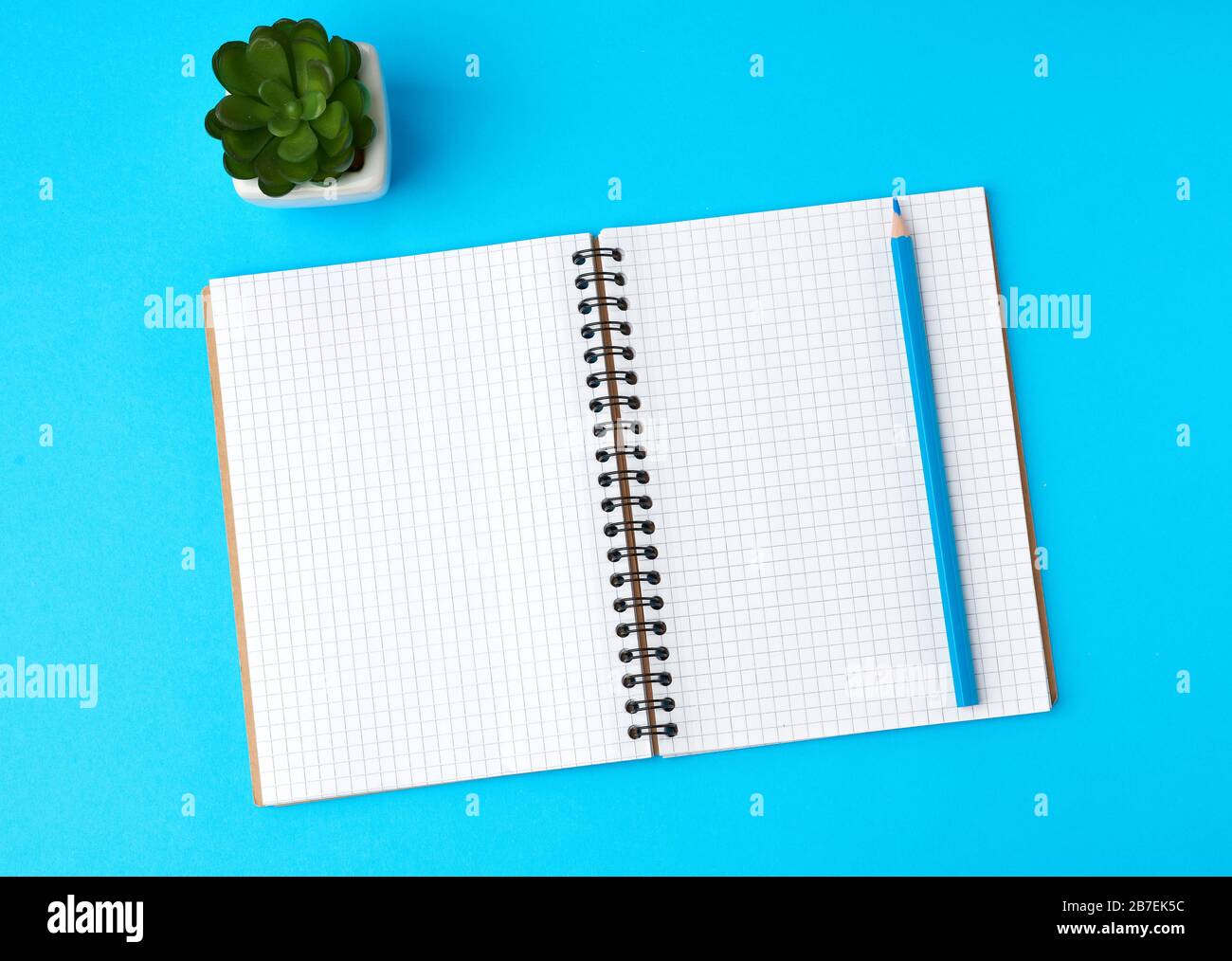 open notebook in a cage with white blank sheet and a blue wooden pencil ...