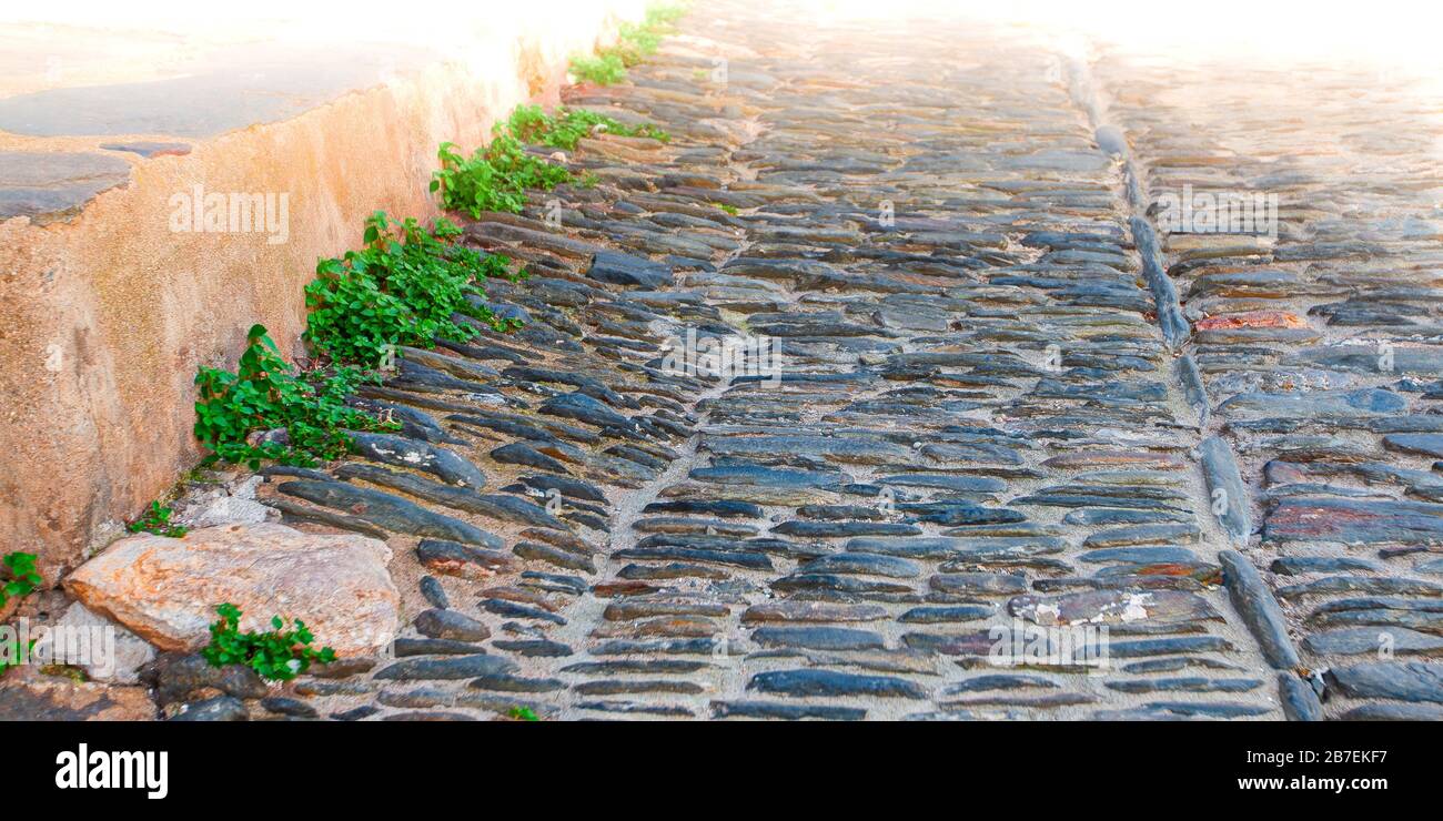 The stone road in old town in the sunlight Stock Photo - Alamy