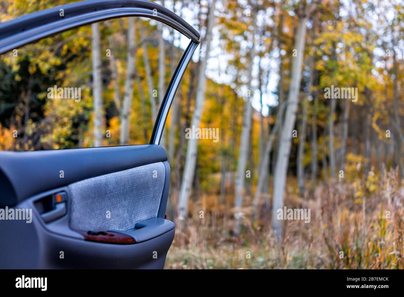 Aspen, Colorado USA maroon bells mountain forest in October 2019 and ...
