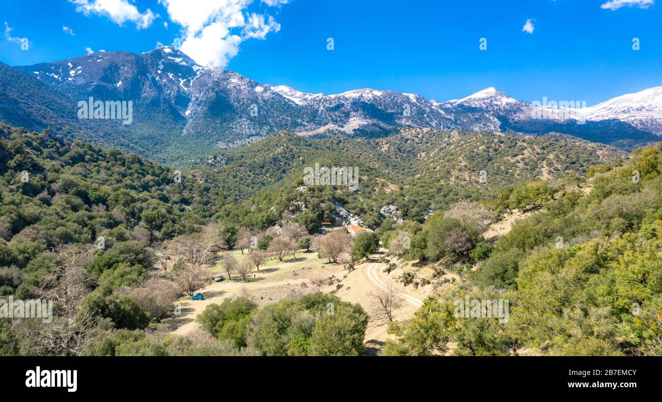 Rouvas forest on Psiloritis mountain, with streams and colorful ...