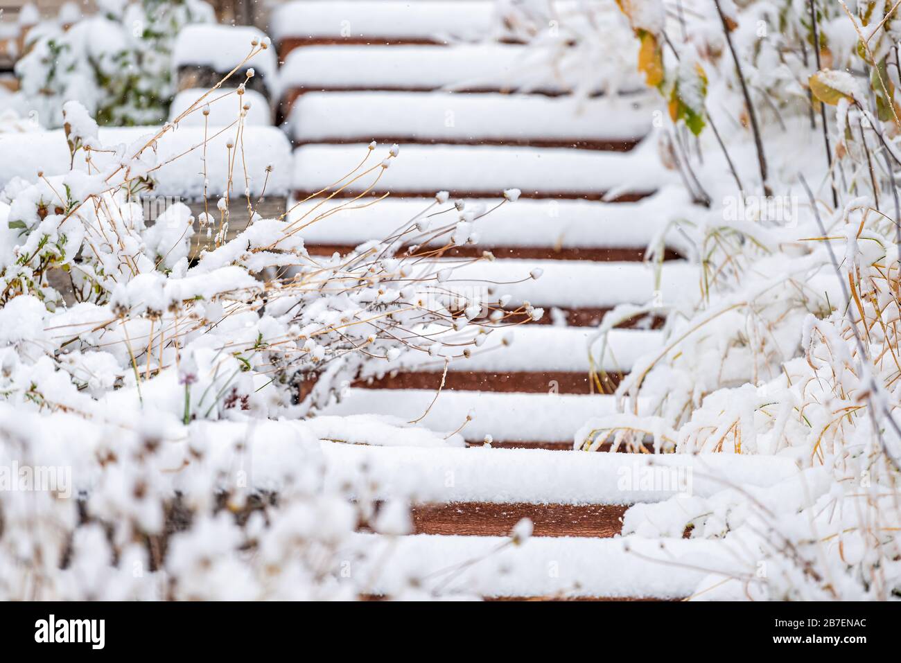 Aspen Colorado landscaping covered in winter snow terraced along wooden ...