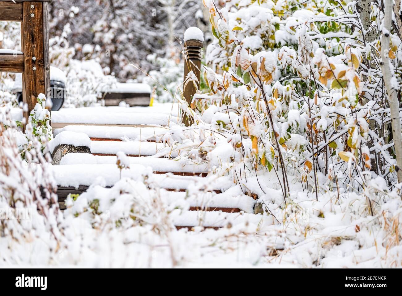 Colorado landscaping covered in winter snow terraced along wooden steps ...
