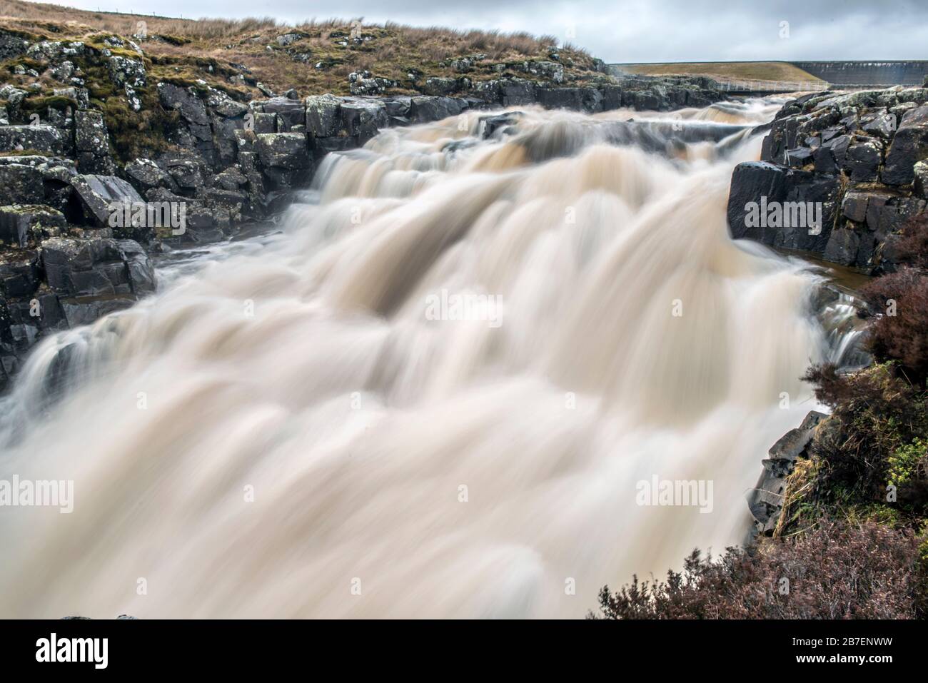 Cauldron snout hi-res stock photography and images - Alamy