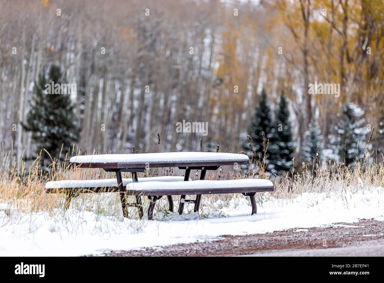 Maroon Bells road closeup of picnic table in Aspen, Colorado rocky ...