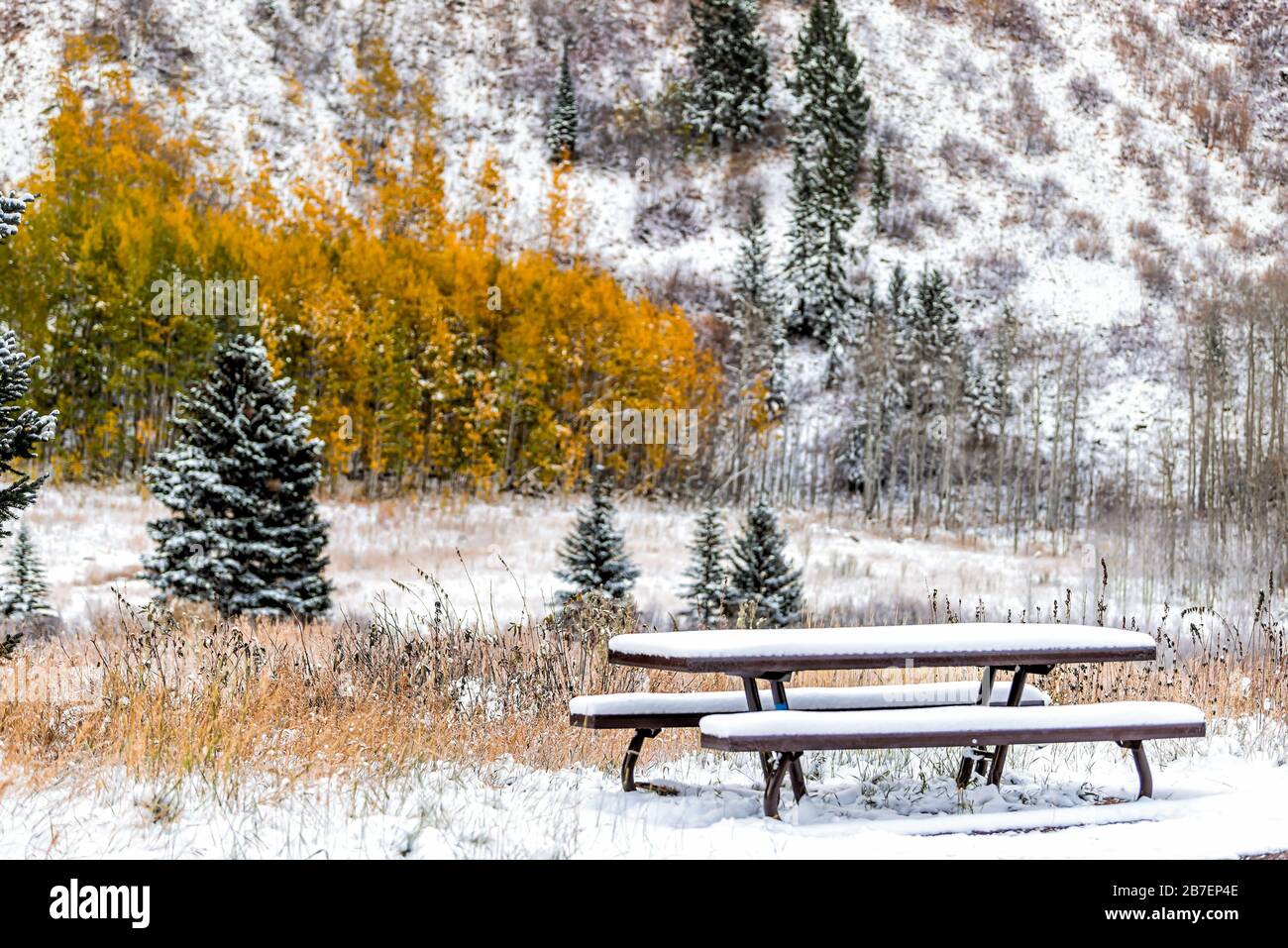 Maroon Bells campground with picnic table in Aspen, Colorado rocky ...