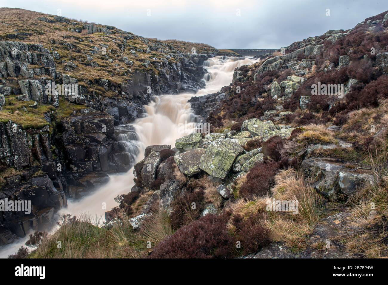 Cauldron snout hi-res stock photography and images - Alamy