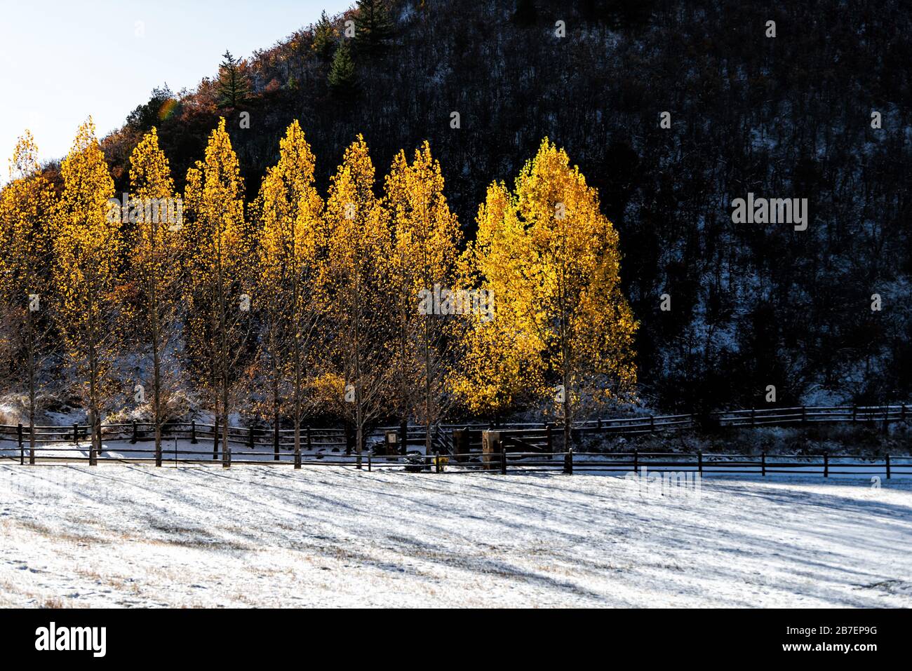 Aspen, Colorado rocky mountains ranch farm pasture covered in snow ...