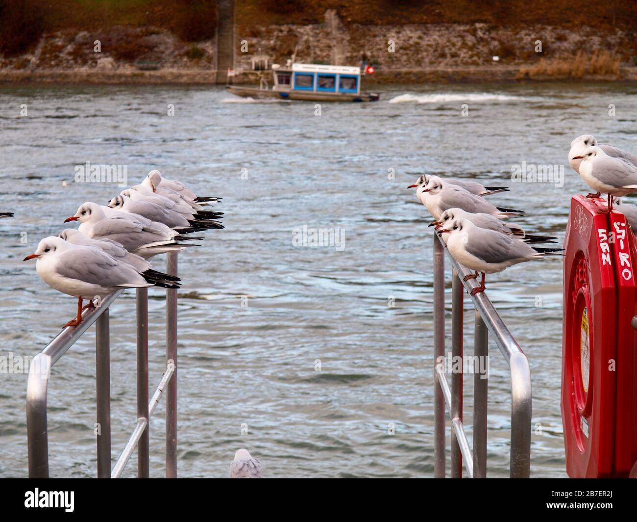 River dock basel hi-res stock photography and images - Alamy