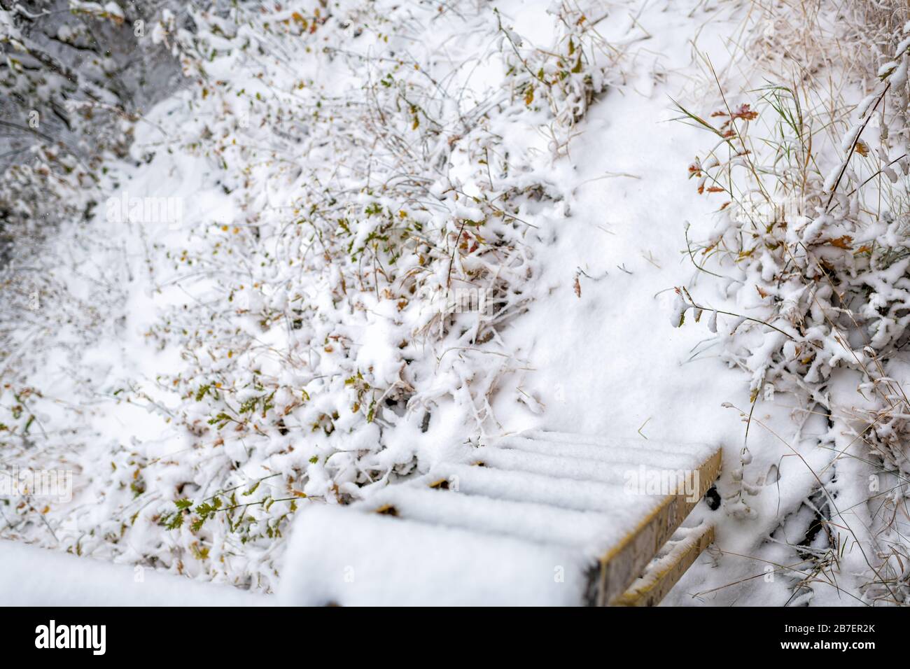 Storm Ladder High Resolution Stock Photography and Images - Alamy