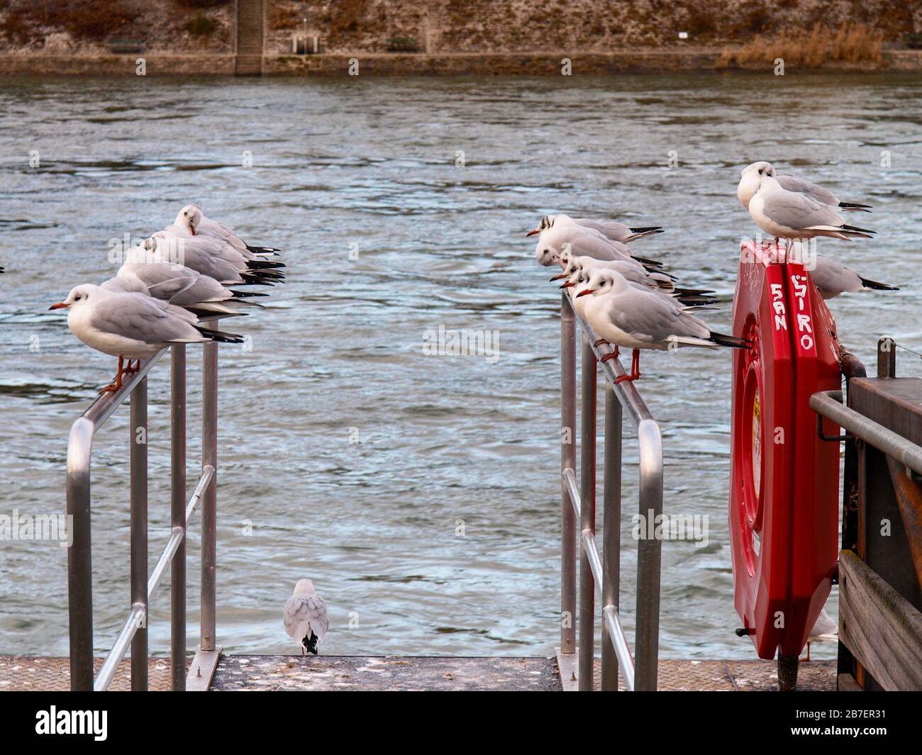 River dock basel hi-res stock photography and images - Alamy
