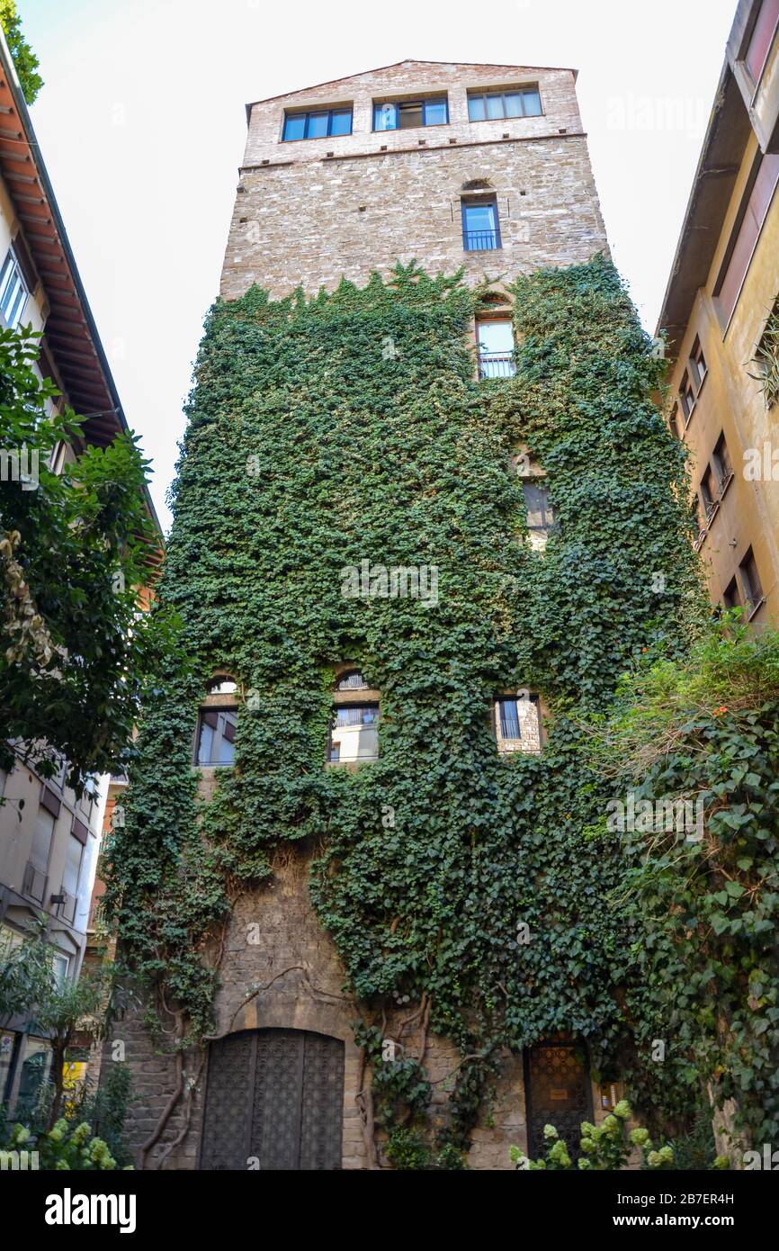 Overgrown house hi-res stock photography and images - Alamy